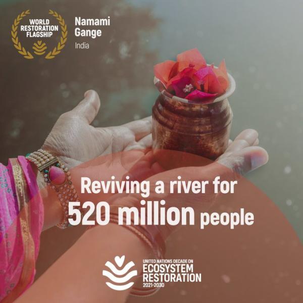 NAMAMI GANGE Among Top 10 Best Examples Of Large-Scale Ecosystem Restoration | Mera Bharat Mahan ...